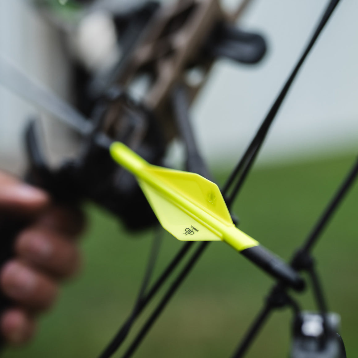 UV 1K BEEREAL ARROWS – BeeReal Custom